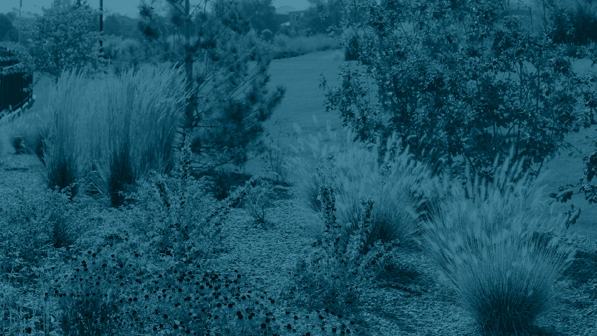 Norris Design Celebrates Five New Principals