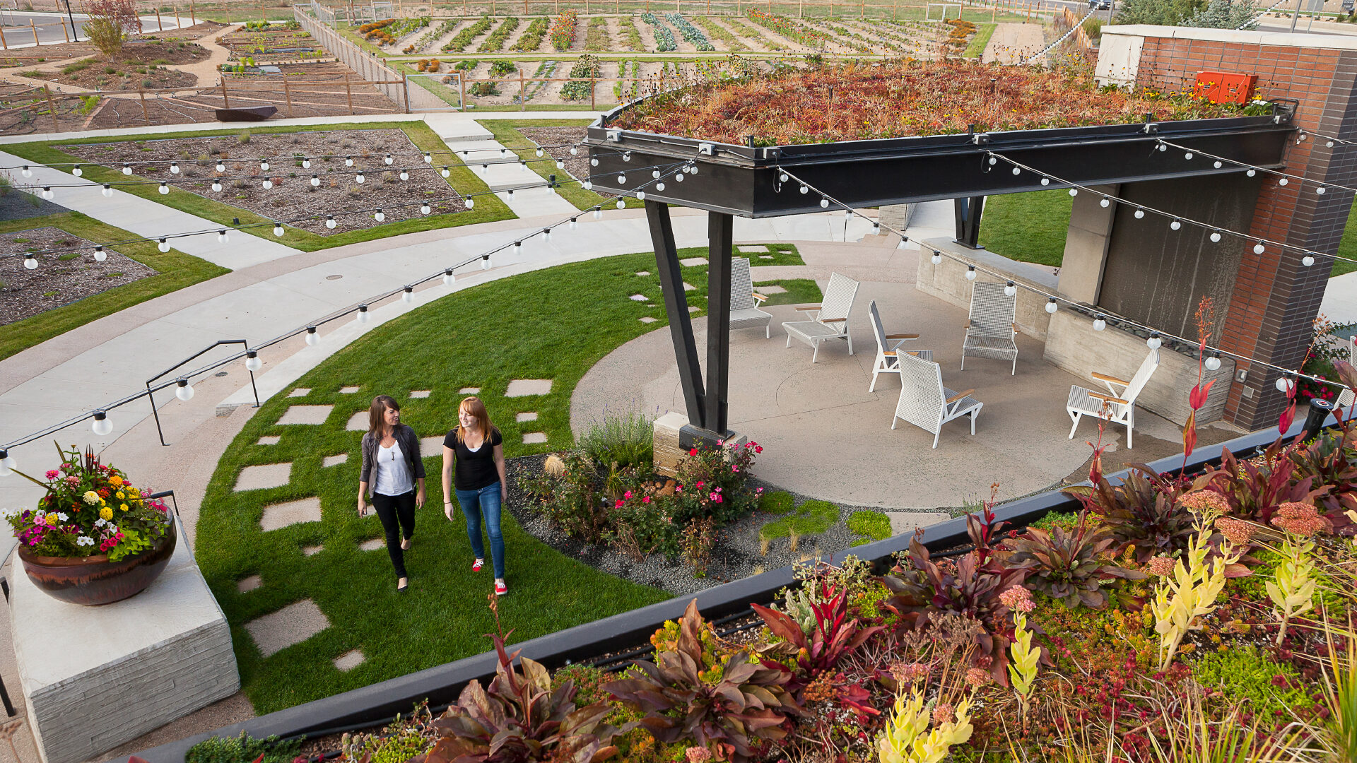 Midtown – Norris Design