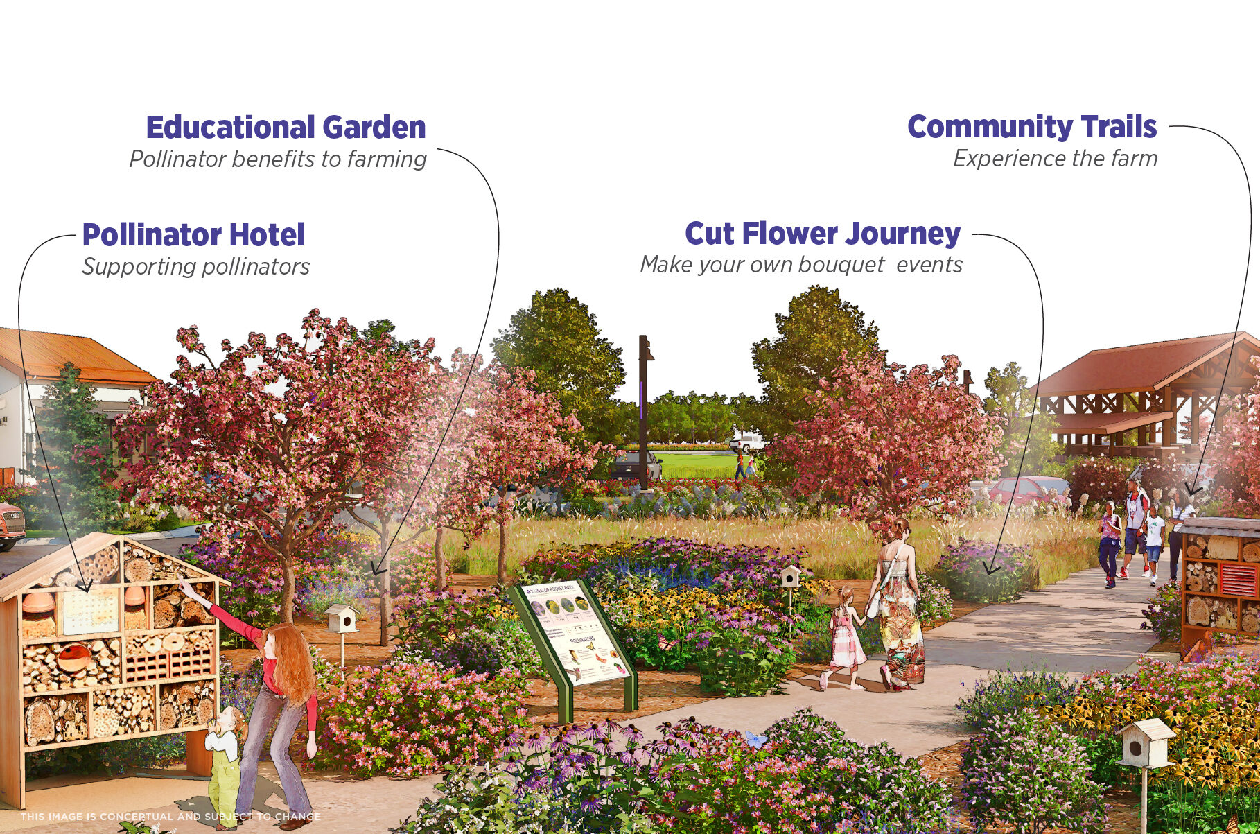 RainDance - Norris Design