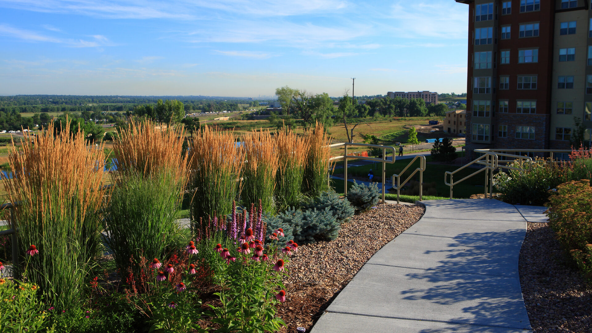 NAHB 55+ Housing Awards: Wind Crest Senior Housing - Norris Design
