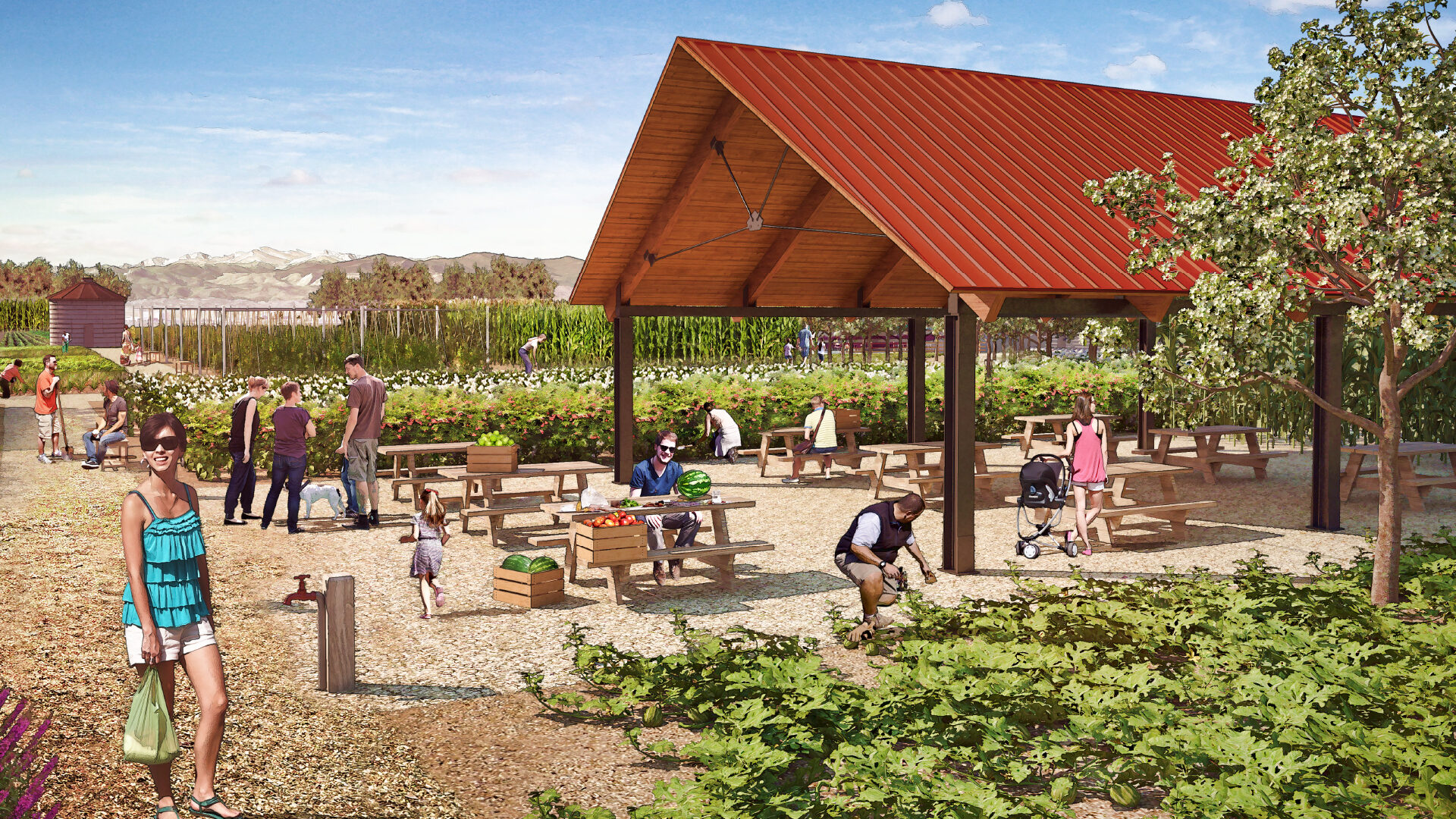 What We Do - Norris Design