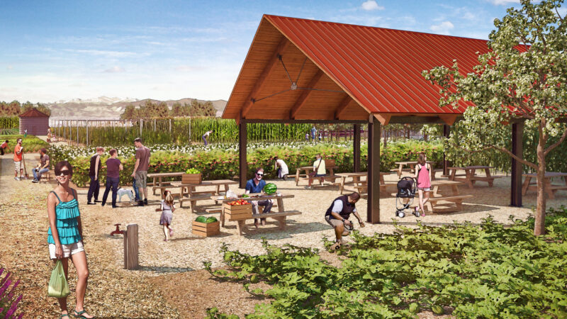 What We Do - Norris Design