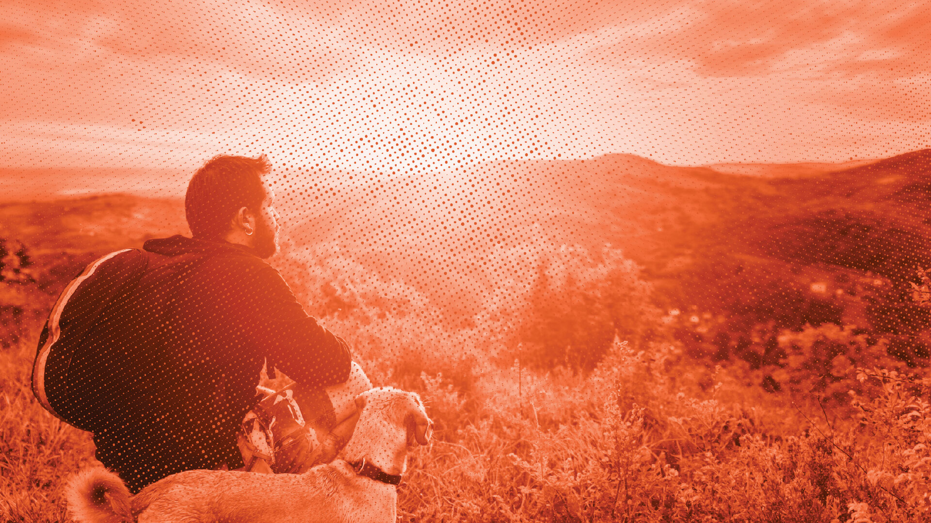 What We Do - Norris Design